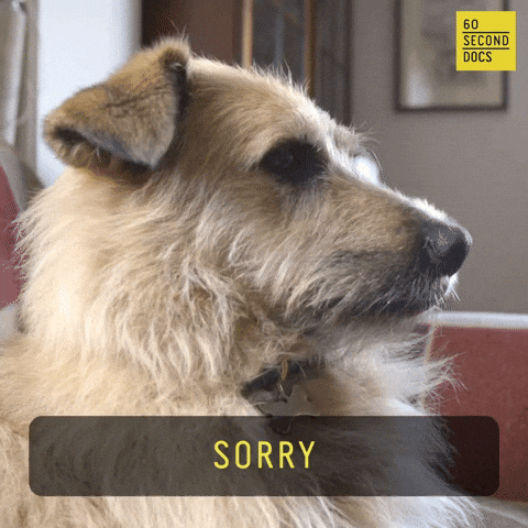 Doc-im-sorry GIFs - Find & Share on GIPHY