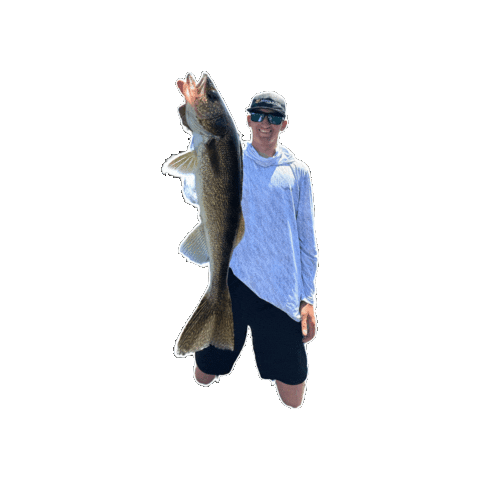 Windrider.com GIFs on GIPHY - Be Animated