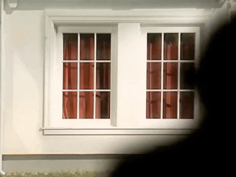 Stylish Window Blinds GIFs - Get the best GIF on GIPHY