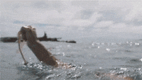 Cast Away Wilson Gif