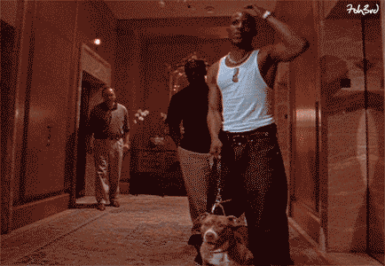 Lindy-ruff GIFs - Get the best GIF on GIPHY