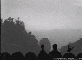 Cho Choo GIFs - Find & Share on GIPHY