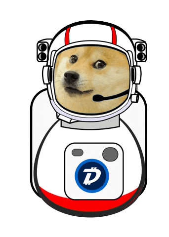 Doge Meme Astronaut