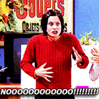 Noooooooooooooooo Gif