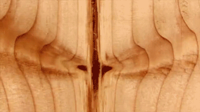 Wooden GIF by Digg - Find & Share on GIPHY