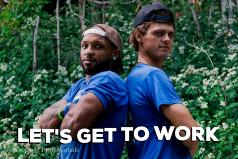 Serious Work GIFs - Get the best GIF on GIPHY