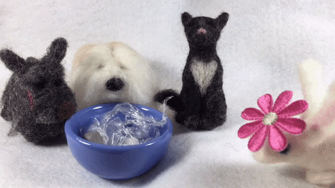 Add Flour GIFs - Get the best GIF on GIPHY