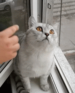 Concentrated Power Of Will GIFs - Get the best GIF on GIPHY