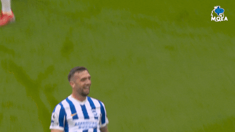 Brighton And Hove Albion GIFs - Get the best GIF on GIPHY