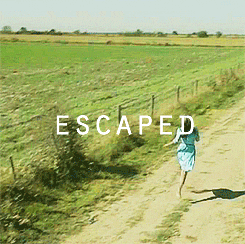 Narrow Escape GIFs - Get the best GIF on GIPHY