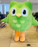 Duolingo GIFs on GIPHY - Be Animated