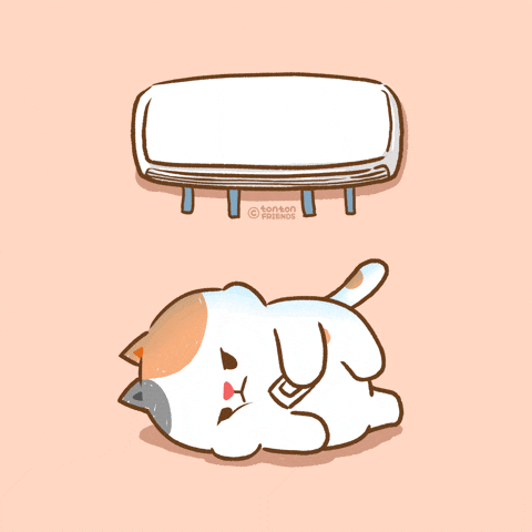 Bella the Tsundere Cat by Tonton Friends | GIPHY