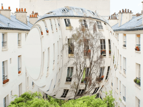 Colorpoint GIFs - Get the best GIF on GIPHY