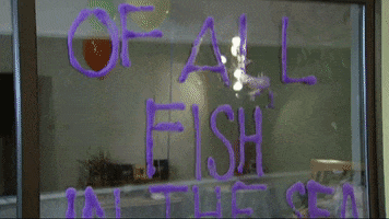 Laguna Beach GIFs on GIPHY - Be Animated