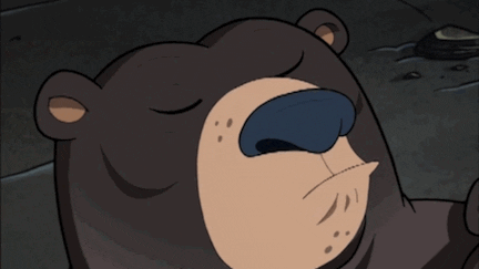 Animal Yes GIFs - Get the best GIF on GIPHY