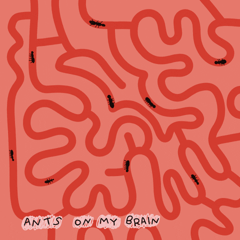 Ant Farm GIFs - Get the best GIF on GIPHY