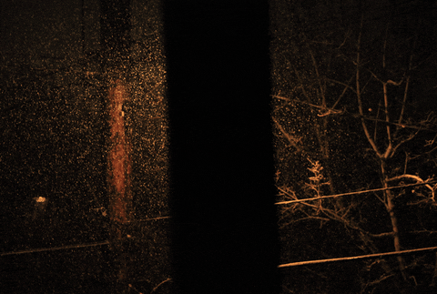 Snow Portland GIFs - Get the best GIF on GIPHY