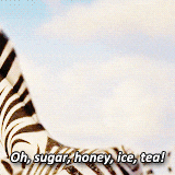 Sugar-honey-iced-tea GIFs - Get the best GIF on GIPHY