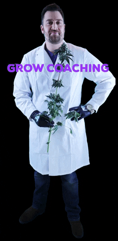 Growing Man Standing GIF by 4Trees - Find & Share on GIPHY