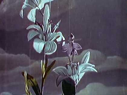 La Magnolia GIFs - Get the best GIF on GIPHY