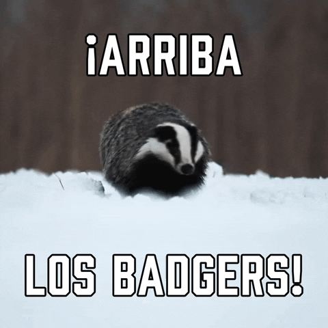 Badger Meter GIFs - Get the best GIF on GIPHY