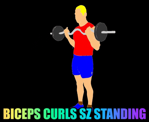 Standing-curl GIFs - Get the best GIF on GIPHY