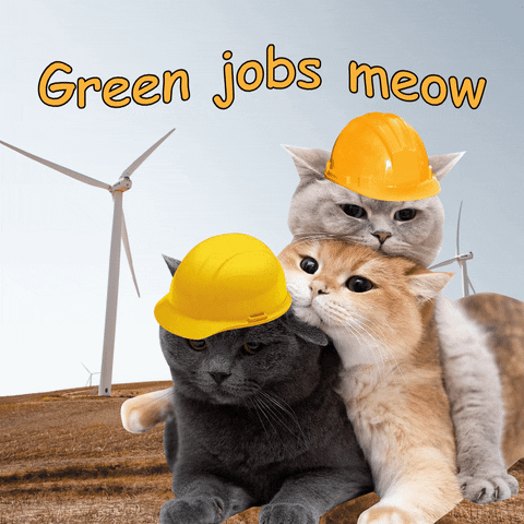 Great Job Cat Gif