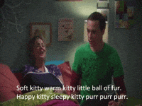 Soft Kitty Song Sheldon