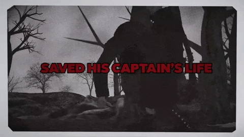 Tree-of-savior GIFs - Get the best GIF on GIPHY