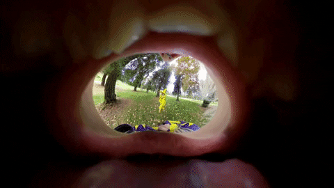 mememe GIFs on GIPHY - Be Animated