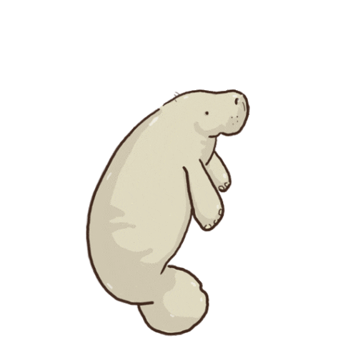 No Idea Manatee Sticker for iOS & Android | GIPHY