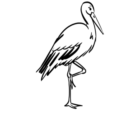Flamingo Sticker by Jizanci for iOS & Android | GIPHY