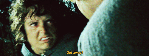 Lord Of The Rings Gif Frodo