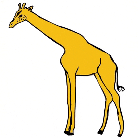 Small-giraffe GIFs - Get the best GIF on GIPHY