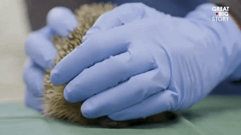Into The Great Wide Open GIFs - Get the best GIF on GIPHY