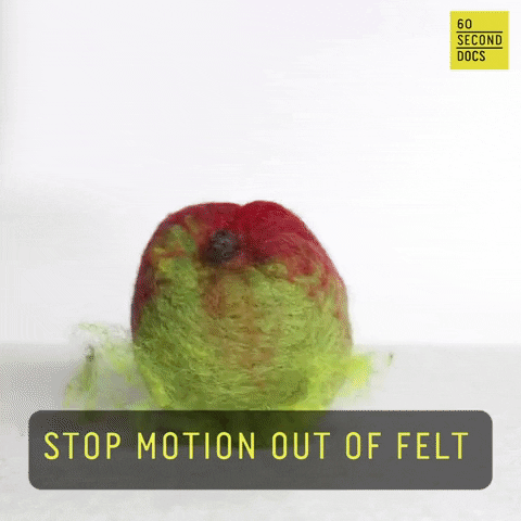 Diy-filmmaking GIFs - Get the best GIF on GIPHY