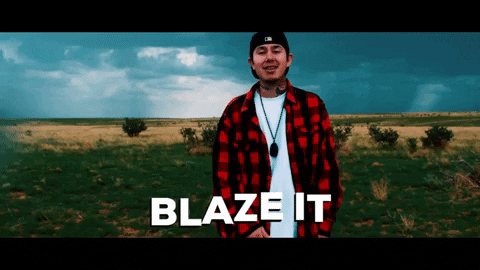 Getting Blazed GIFs - Get the best GIF on GIPHY