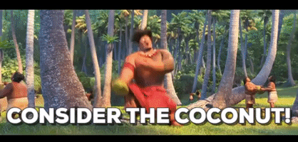 Coconut GIFs - Find & Share on GIPHY