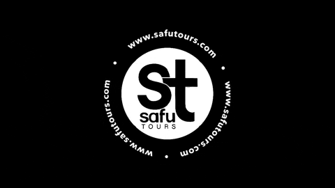 Safu GIFs - Get the best GIF on GIPHY