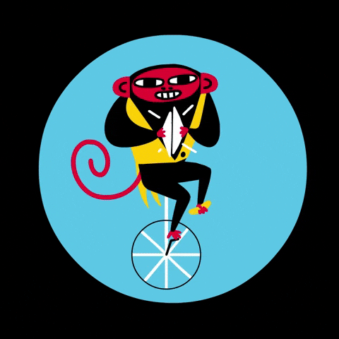 Trained Monkey GIFs - Get the best GIF on GIPHY