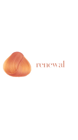 Casey LDM GIFs on GIPHY - Be Animated