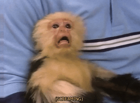 Screaming GIF - Find & Share on GIPHY
