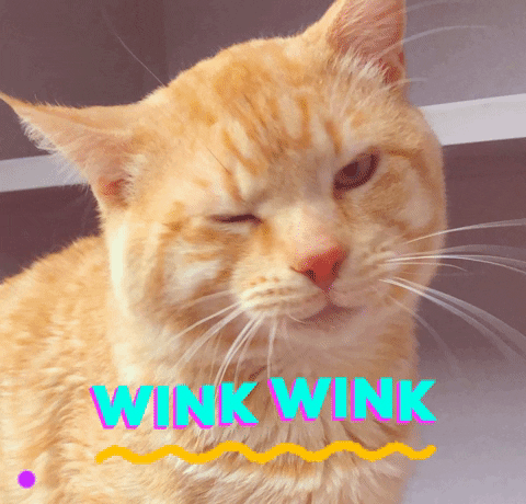 Winknnudge GIFs - Get the best GIF on GIPHY