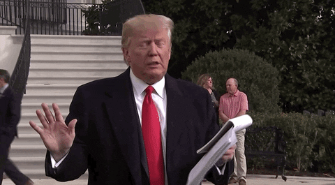 You-have-the-cameras-rolling GIFs - Get the best GIF on GIPHY