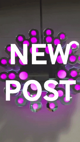 Hult Prize New Post GIFs - Get the best GIF on GIPHY