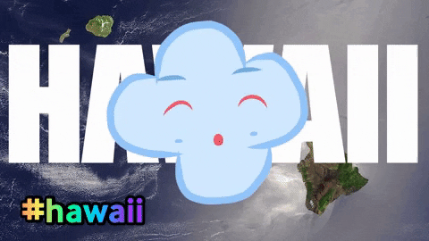 Beach Hawaii GIF by Mochicloud - Find & Share on GIPHY