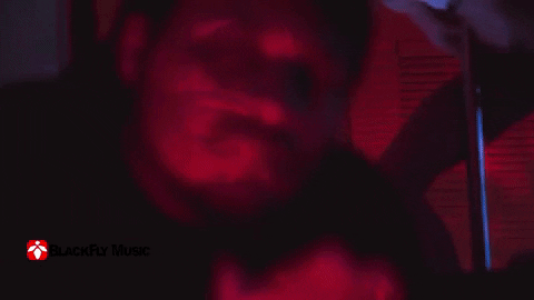 Black Fly GIFs - Get the best GIF on GIPHY