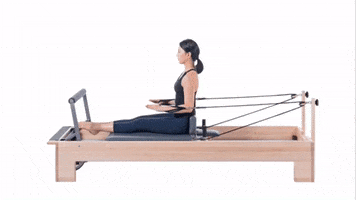 WHY PILATES GIFs on GIPHY - Be Animated