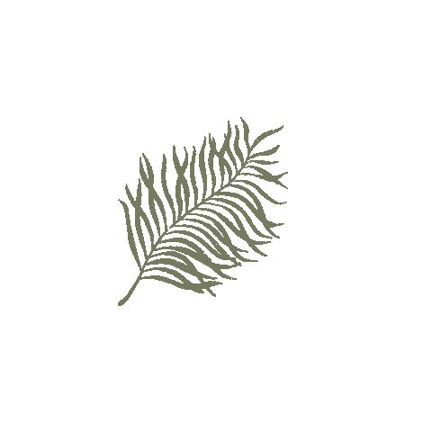 Flower Leaf Sticker for iOS & Android | GIPHY