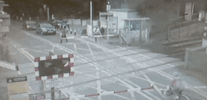 Oopsy Daisy GIFs - Find & Share on GIPHY